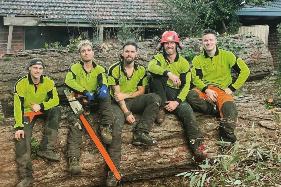 Our Story - Tree Range Arborists